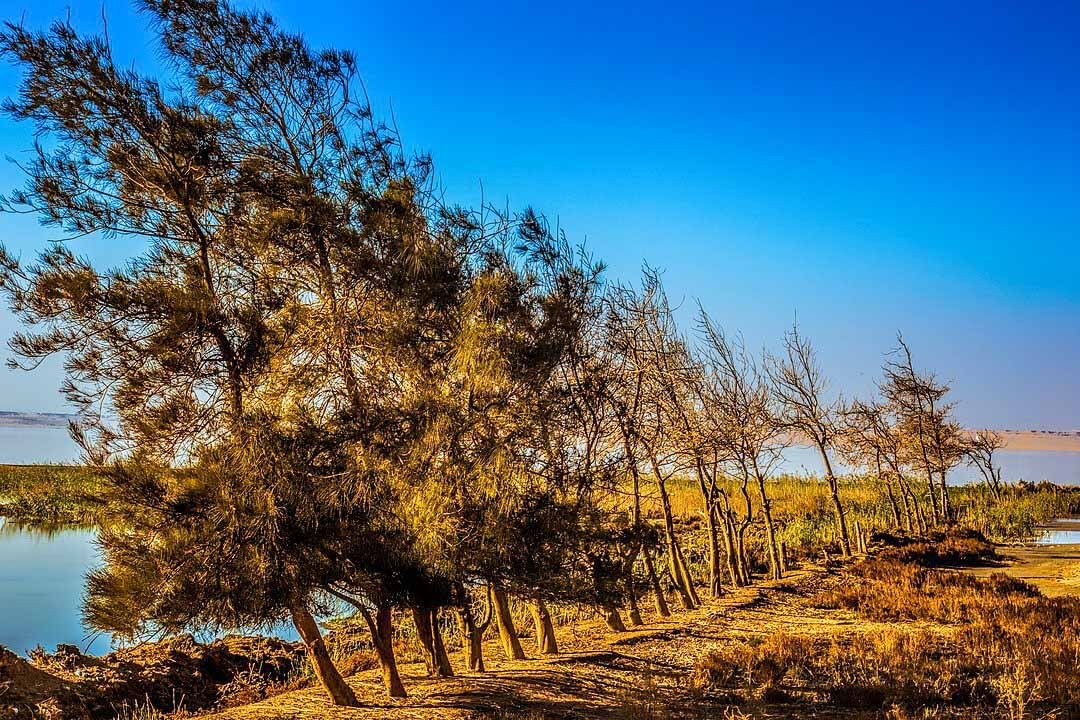 Qaroon Lake - AtlasIslamica